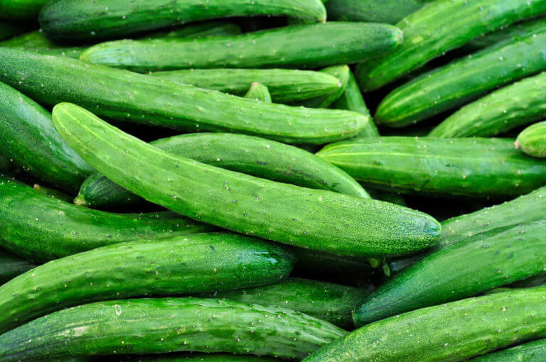 8 Manfaat Timun Jepang untuk Kesehatan, Cari Tahu di Sini Yuk!